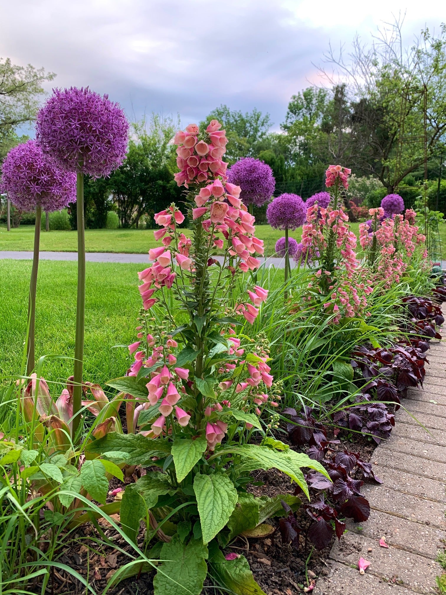 Breathe Life into Your Outdoor Space with Expert Plant Design – W ...