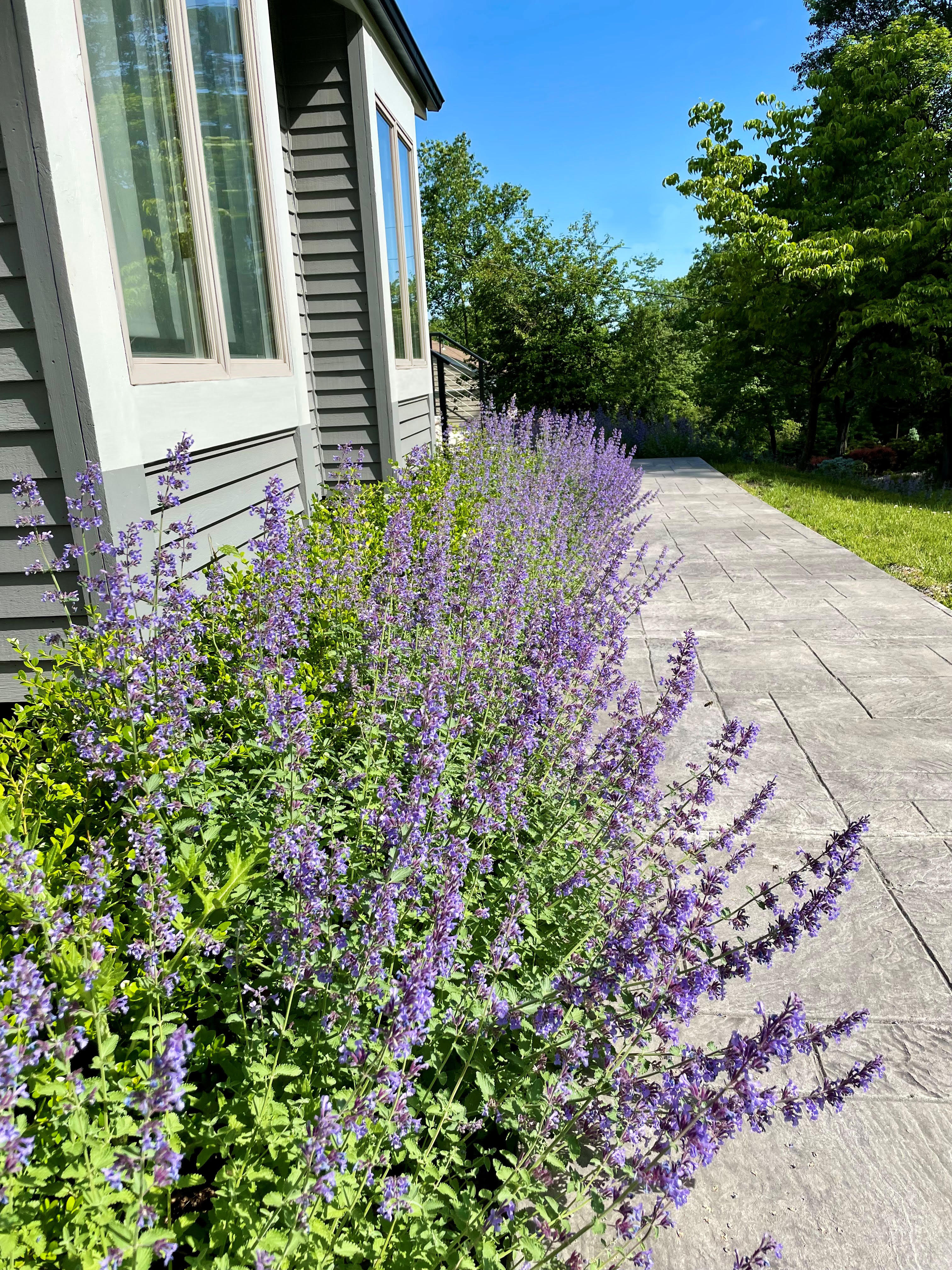 Estimator – W Hendershot Landscape Design